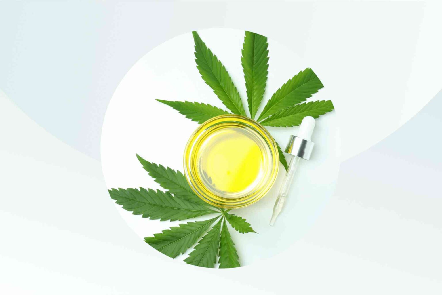 How CBD Works UAE | Science Behind CBD Explained